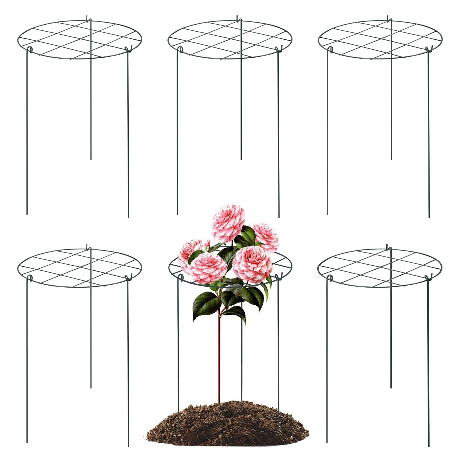 15+ Peony Plant Support - CaseyChaarvi