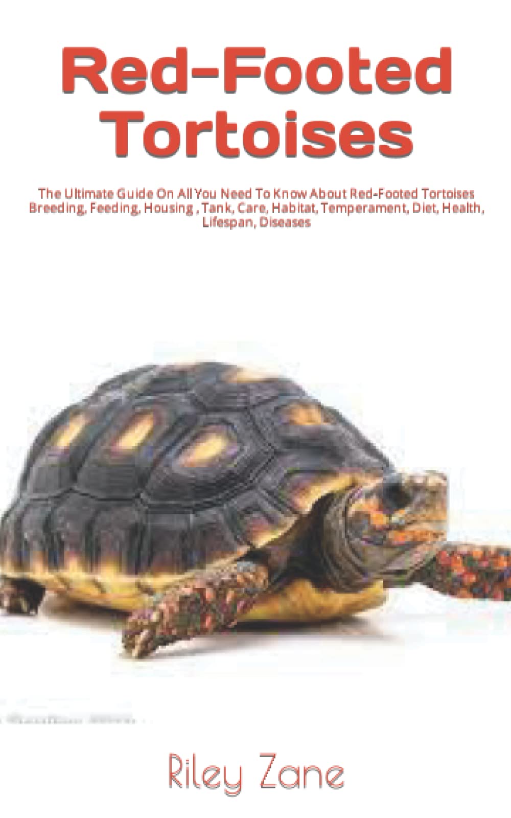 Red Footed Tortoises The Ultimate Guide On All You Need | Desertcart INDIA