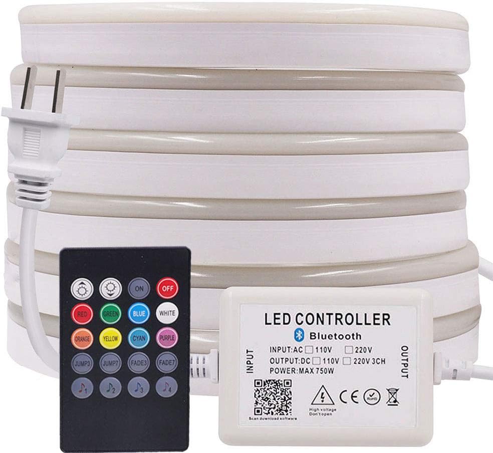 Amazon.com: XUNATA LED Neon Light, Bluetooth Remote Control LED Rope ...