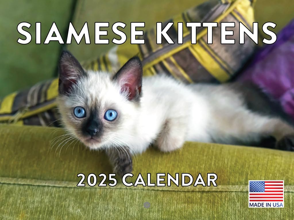 Amazon.com: Siamese Cat Kitten Calendar 2025 | American Made In The USA ...