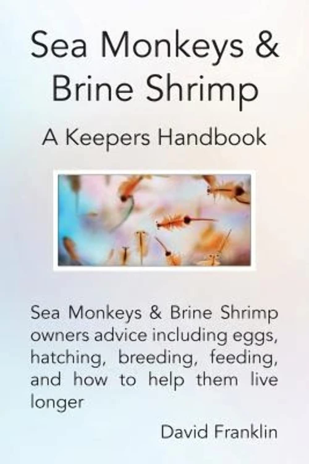 Sea Monkeys & Brine Shrimp: Sea Monkeys & Brine Shrimp owners advice ...