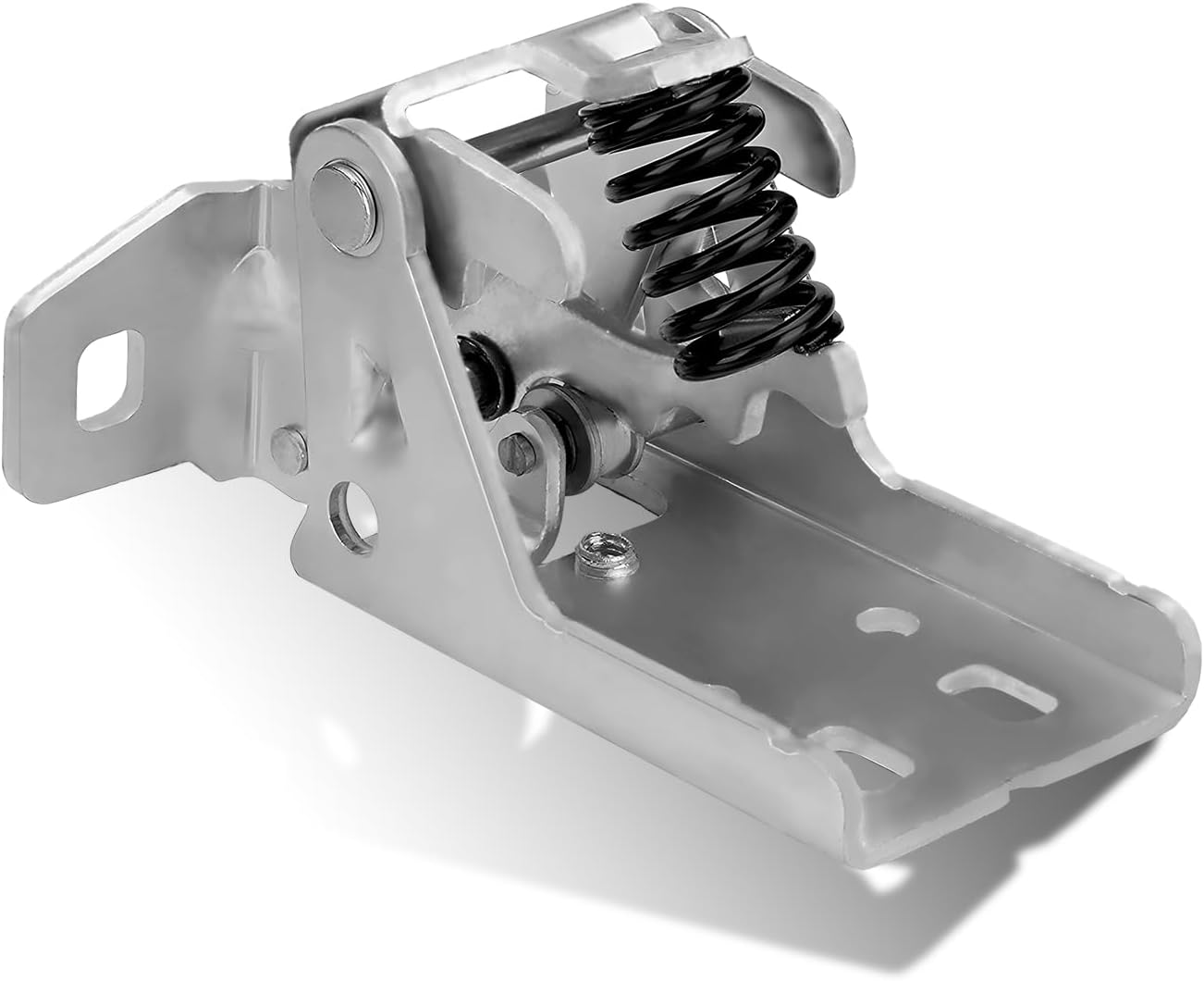 Amazon.com: Dodge Dakota Upper and Lower Door Hinges for Driver's Side ...