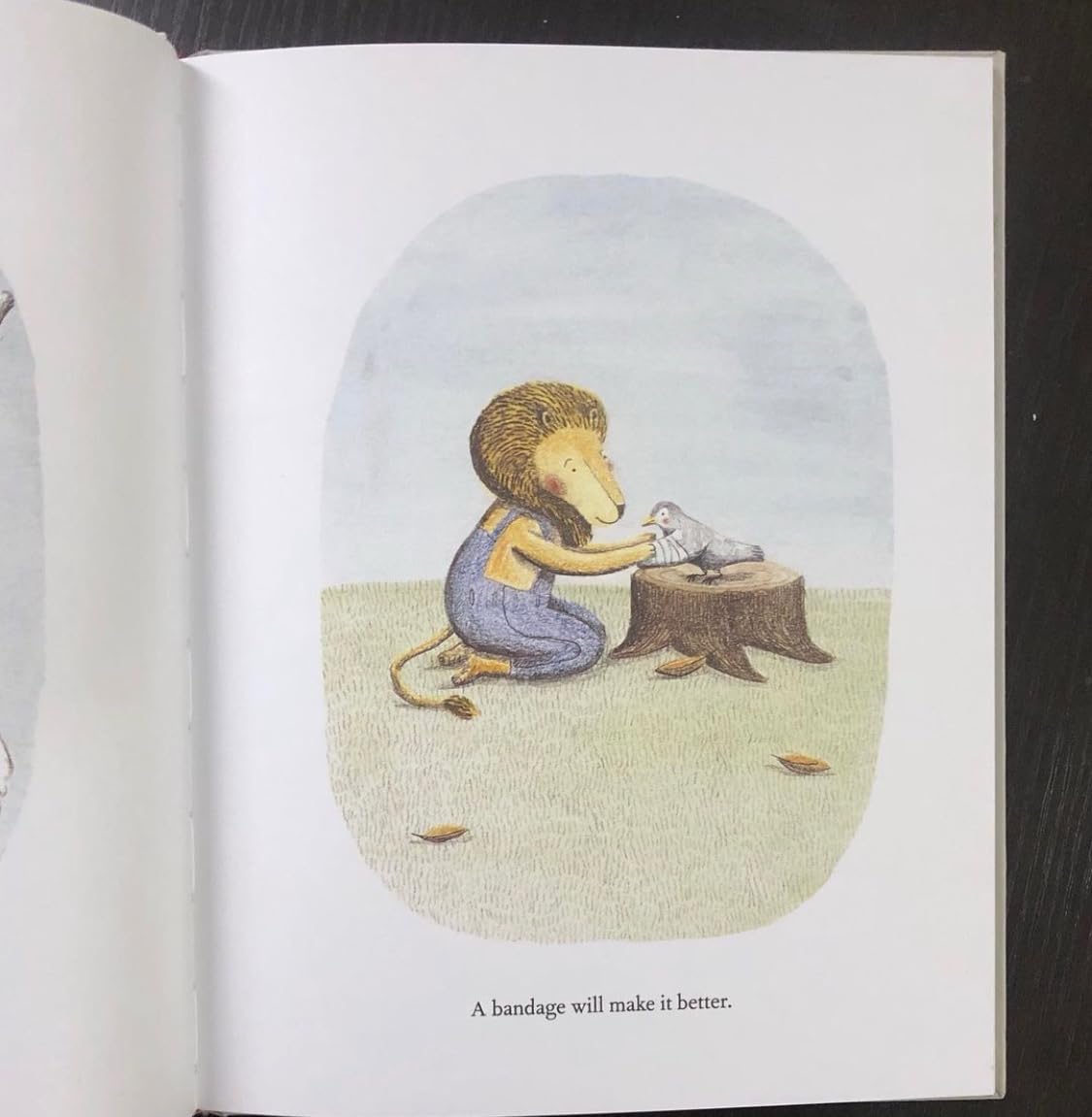 The Lion and the Bird : Dubuc, Marianne: Amazon.in: Books