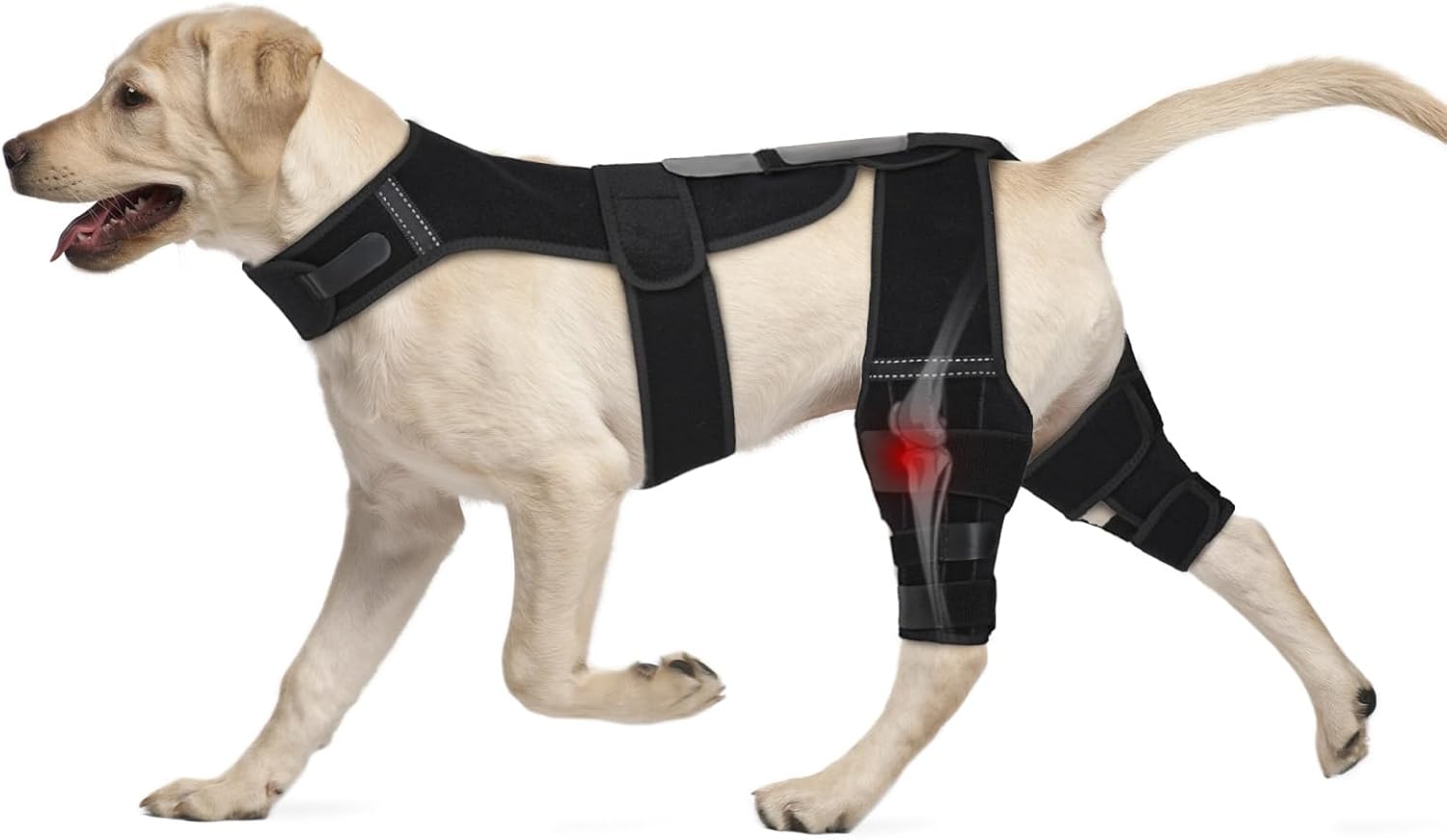 Amazon.com : Dog Double Knee Brace for Torn ACL Hind Legs, Anti-slip Dog Double Leg Braces for ...
