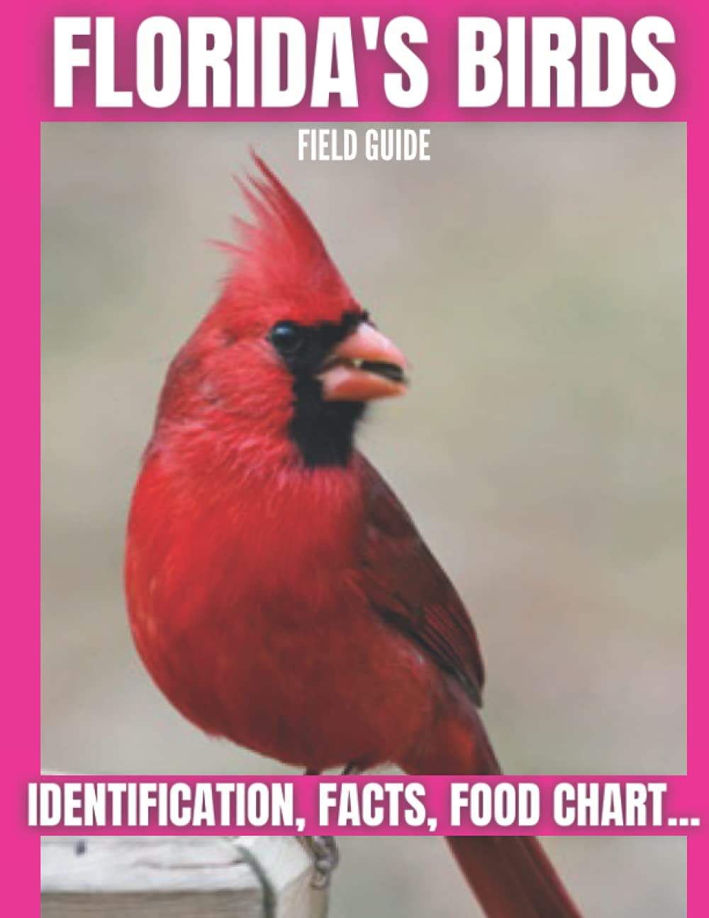 Buy Florida's Birds Field Guide: Identification, Facts, Food Chart ...