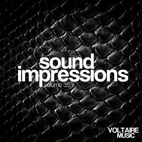 Amazon.com: Sound Impressions, Vol. 35 : VARIOUS ARTISTS: Digital Music