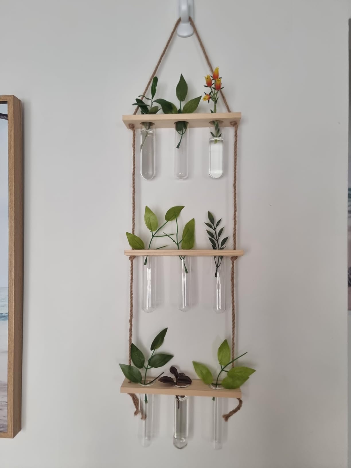 Maghat Wall Hanging Planter Terrarium with Wooden Stand, 3 Tiered ...