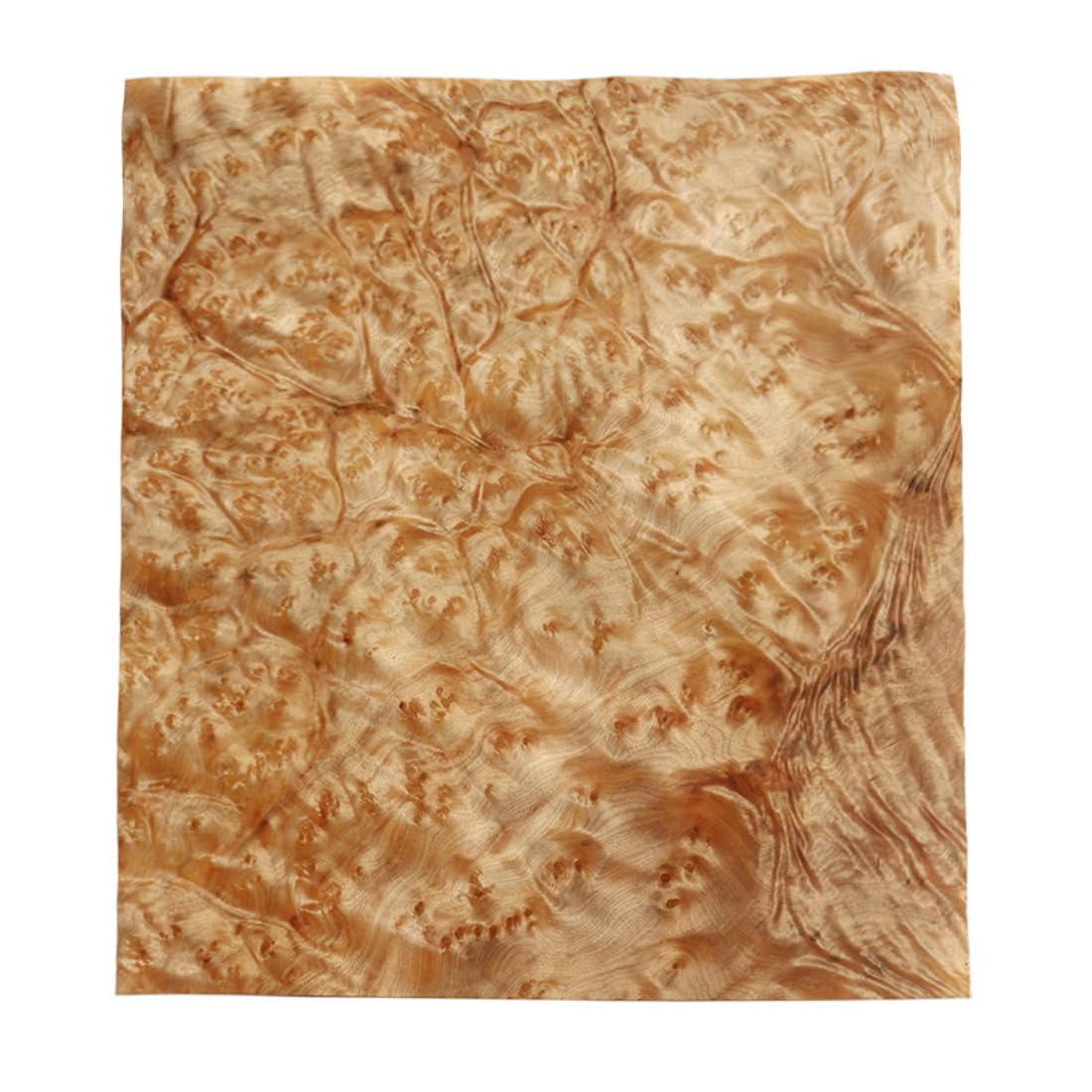 Amazon.com: Docynia Delavayi Burl Veneer Sheet - 17x19 Inches, Exotic ...
