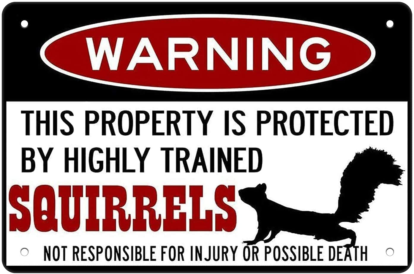 Amazon.com : EMOHAT Squirrel Protected By Squirrels Warning Beware Of ...