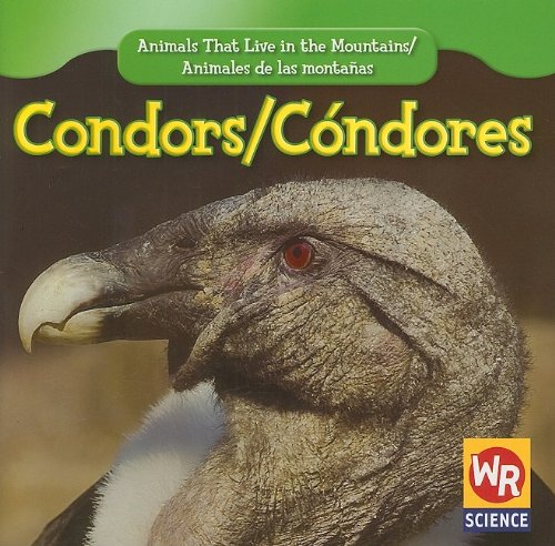 Condors / Cóndor (Animals That Live In The Mountains / Animales de las ...