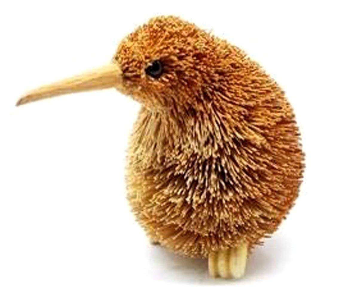 Amazon.com: New Zealand Maori Brush & Wood Kiwi Bird Christmas Ornament ...