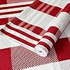 Amazon.com: Christmas Plaid Outdoor Rug, 2'4" x 3'7" Red&White Check ...