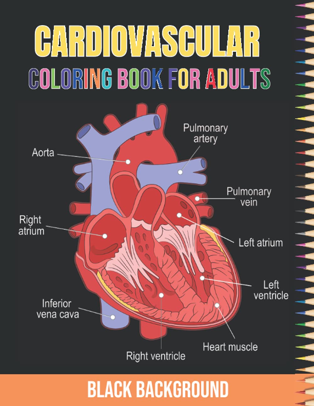 Buy Cardiovascular Coloring Book for Adults Black Background: An Adult ...
