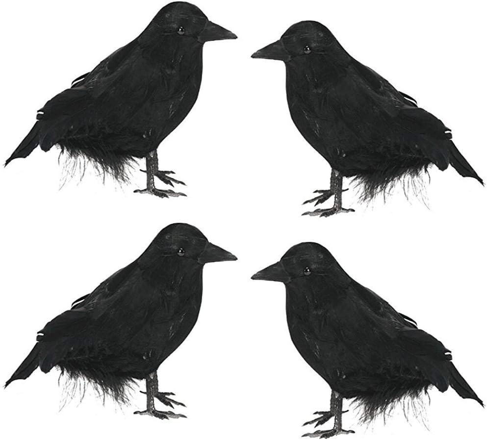 Amazon.com: Halloween Realistic Crows Black Feathered Standing Crows ...