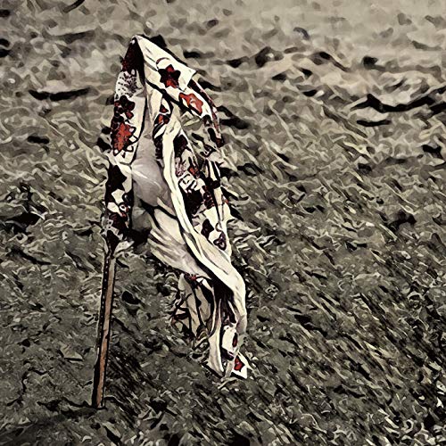 Amazon.co.jp: Flag : otetsu: デジタルミュージック