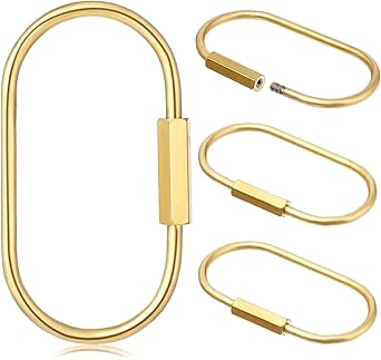 oruola 4pcs Brass Key Ring,Brass Screw Lock Keychain,Gold Key Ring ...