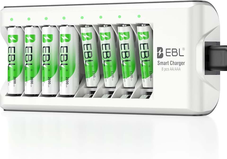 Amazon.com: Ebl