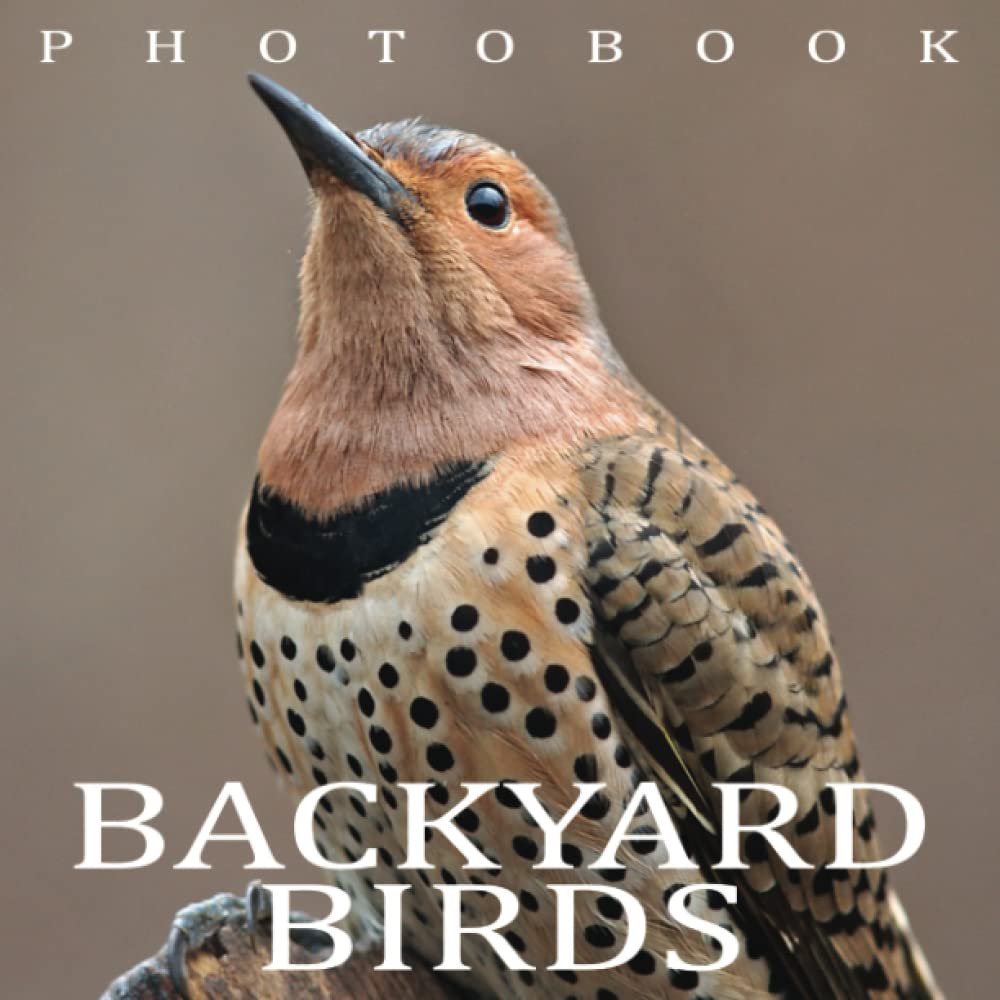The Picture Of Backyard Birds Backyard Birds 2023 2024 Calendar | Desertcart Barbados