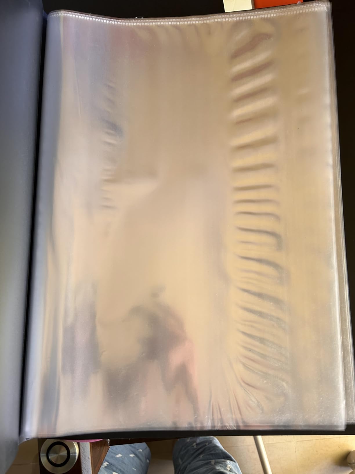 Plastic Presentation Book Binder with Clear Plastic Sleeves Bound ...