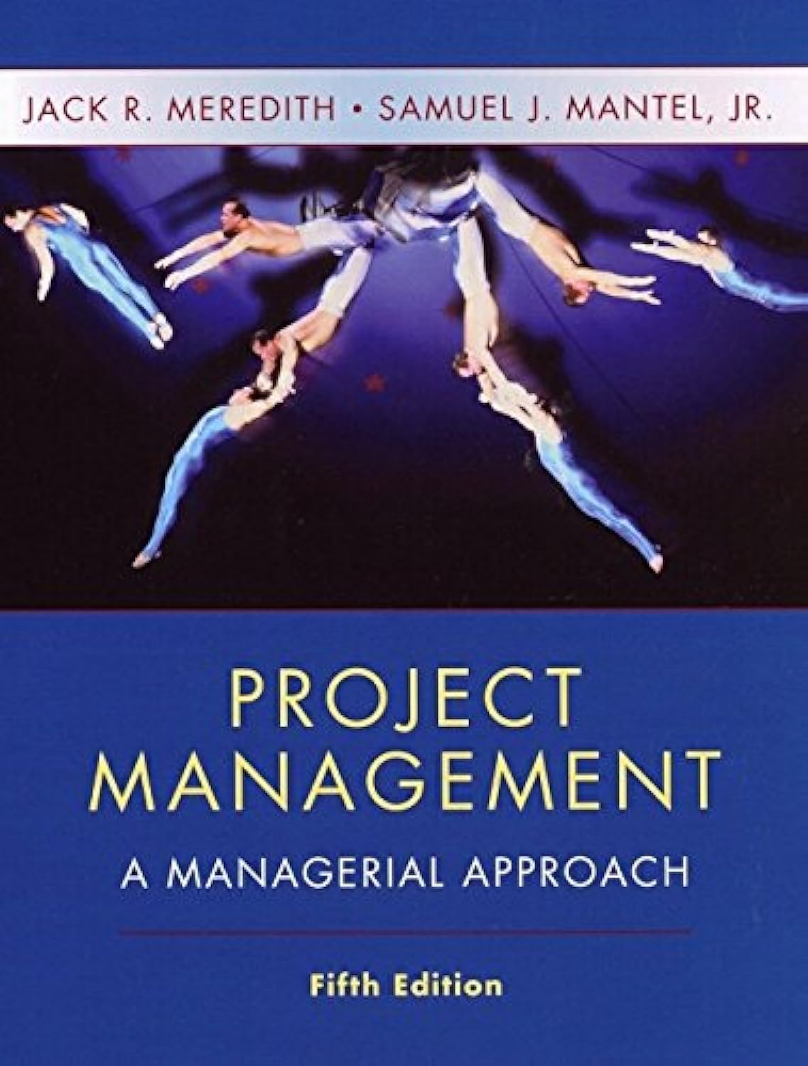 Project Management: A Managerial Approach: Meredith, Jack R., Mantel Jr ...
