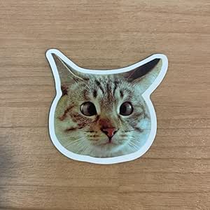 Amazon.co.jp: Cat Meme Sticker 1 Sticker Funny Face : Office Products