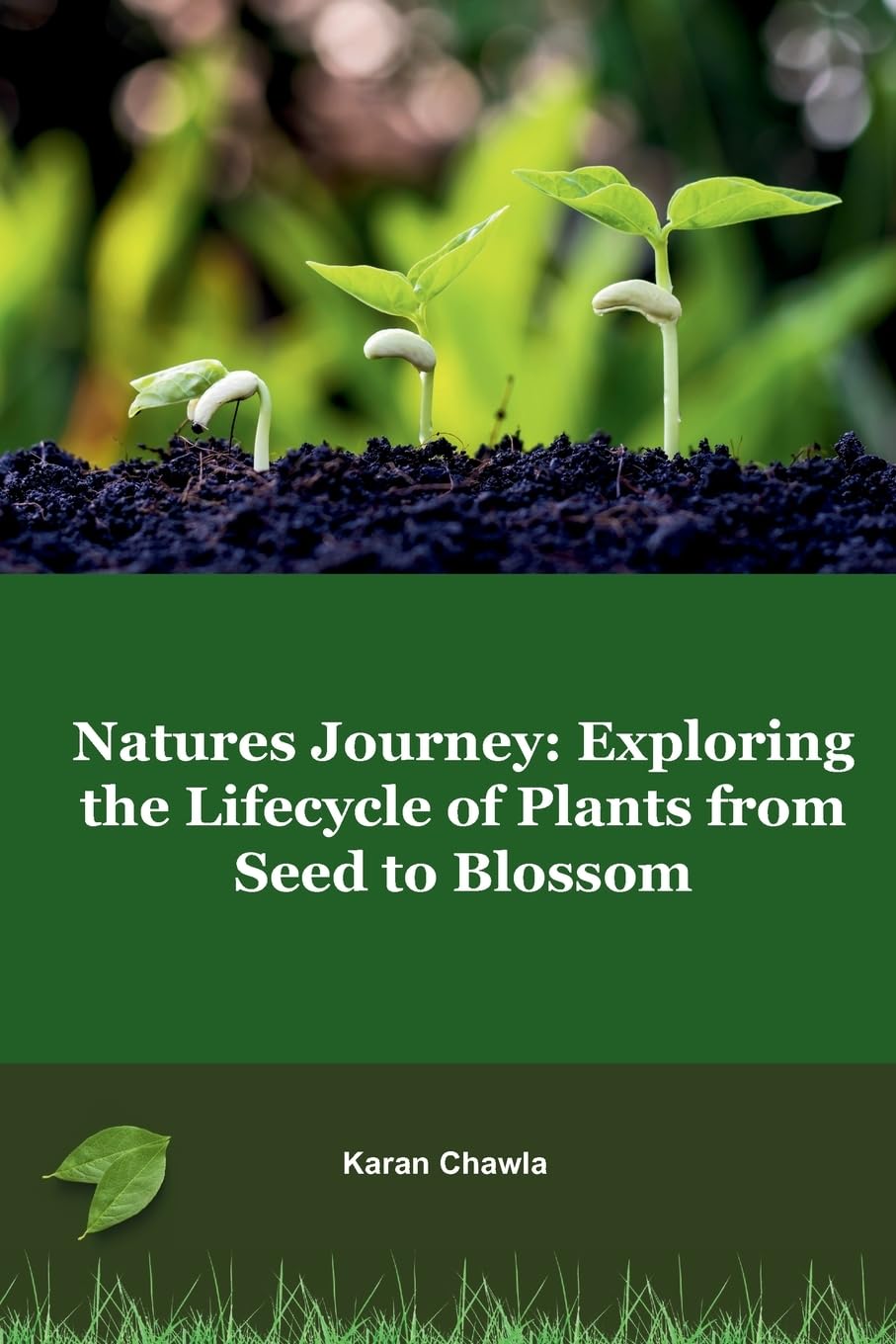 Nature's Journey: Exploring the Lifecycle of Plants from Seed to ...