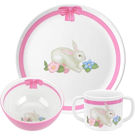 Amazon.com: Beatrix Potter Peter Rabbit 5 Piece Melamine Dinnerware Set ...