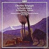 【発売日：2006年08月01日】・ブランド:Cpo・製造元:CPO・製造元/メーカー部品番号:CPO777071