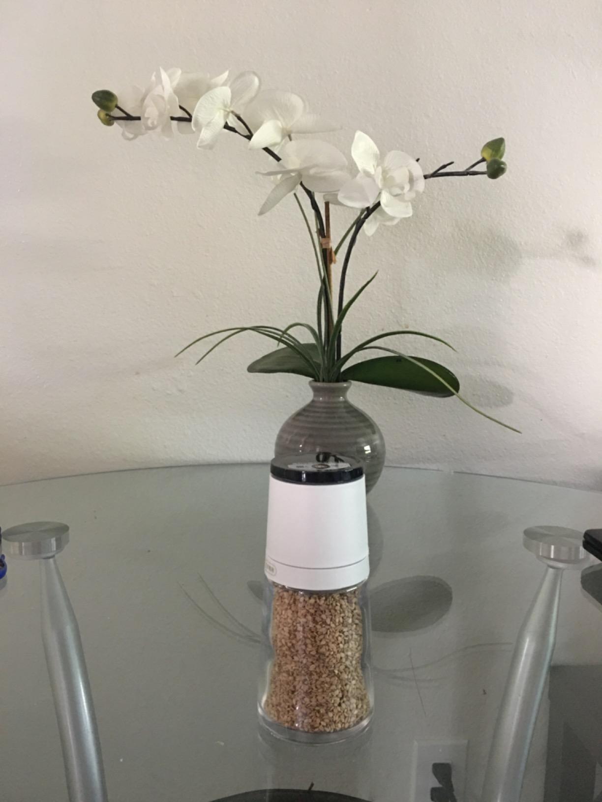 Amazon.com: Glass Sesame Seed Grinder by Asvel 2 x 2.3 x 5.2 inches ...