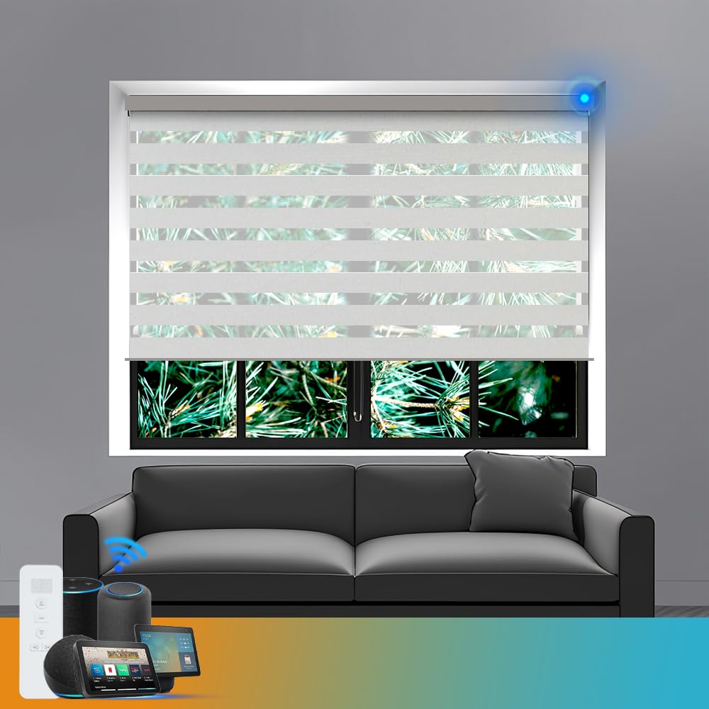 Amazon.com: Blindify Motorized Zebra Blinds with Remote Smart Blind ...