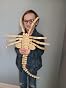 Amazon.com: Xenomorph Facehugger Action Figure Building Kit Compatible ...