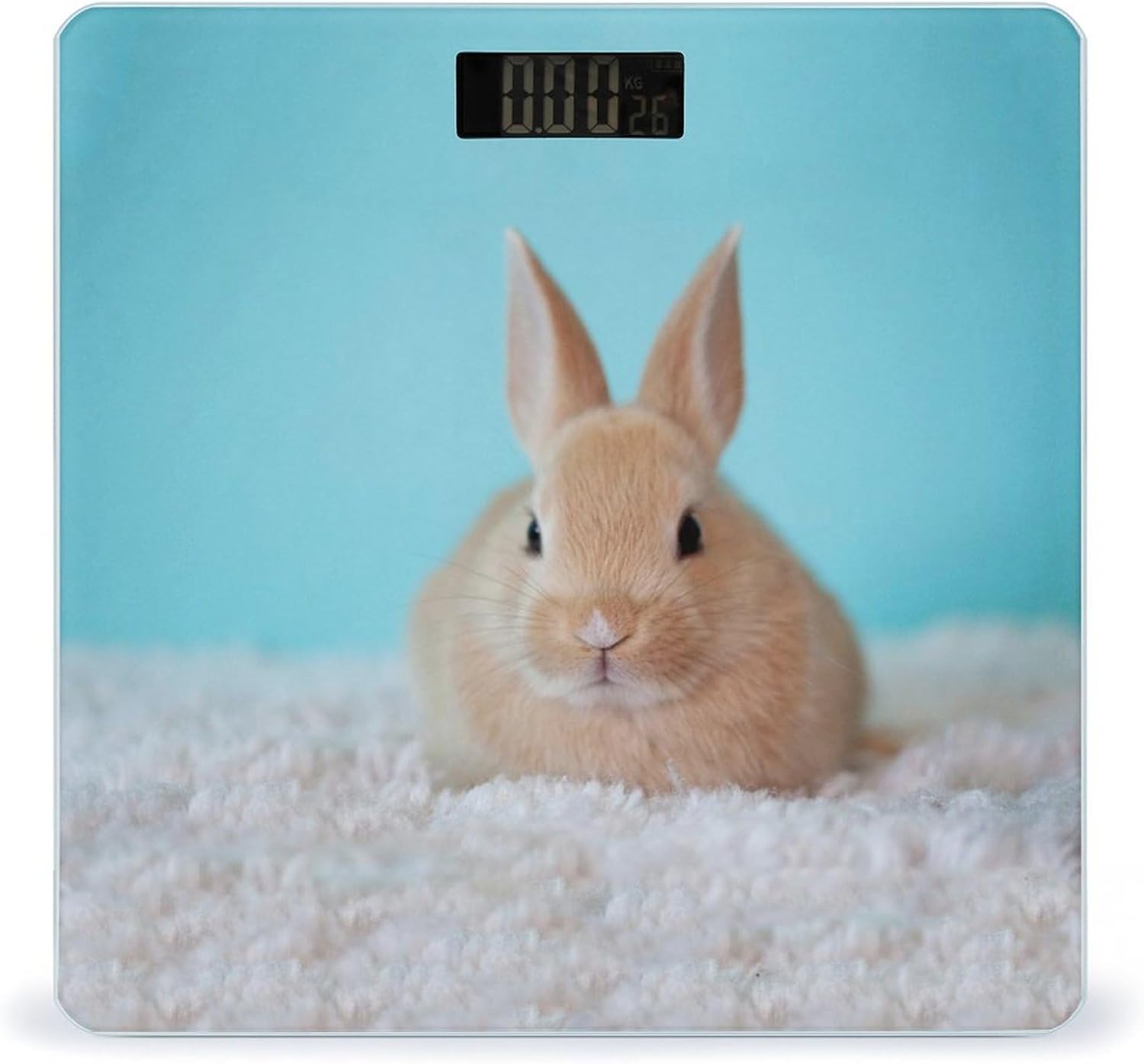 Amazon.com: Cute Scale for Body Weight Cute Bunny Rabbit Highly ...