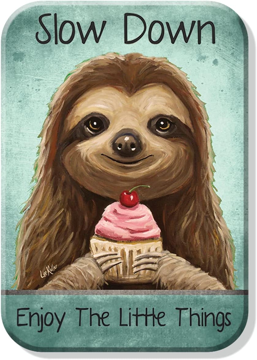 Amazon.com: Desperate Enterprises Slow Down Refrigerator Magnet - Funny ...