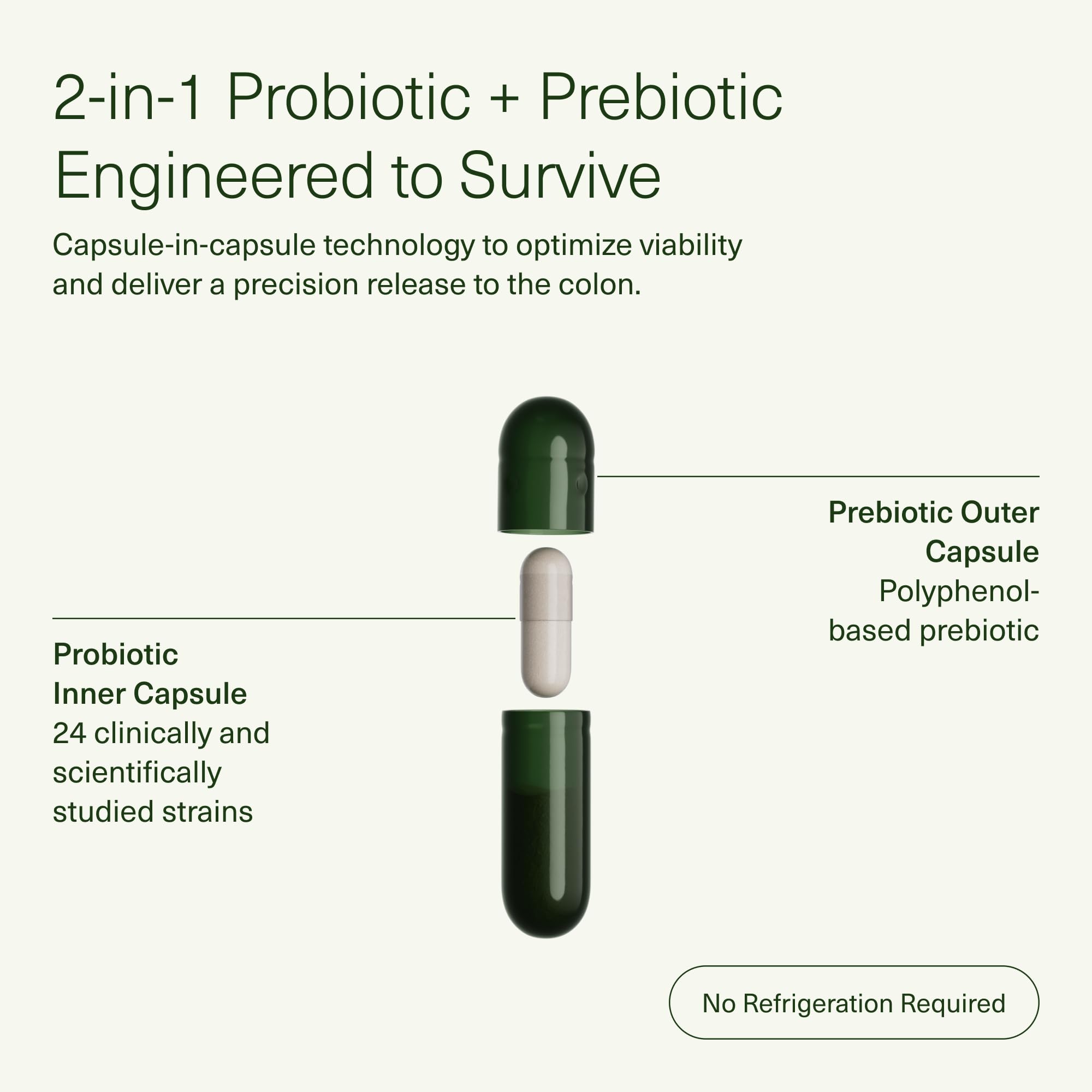 Snapklik.com : Seed DS-01 Daily Synbiotic - Prebiotic And Probiotic For ...