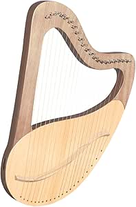 Amazon.com: Portable Harp For Beginners 21-string Harp Niche Instrument ...
