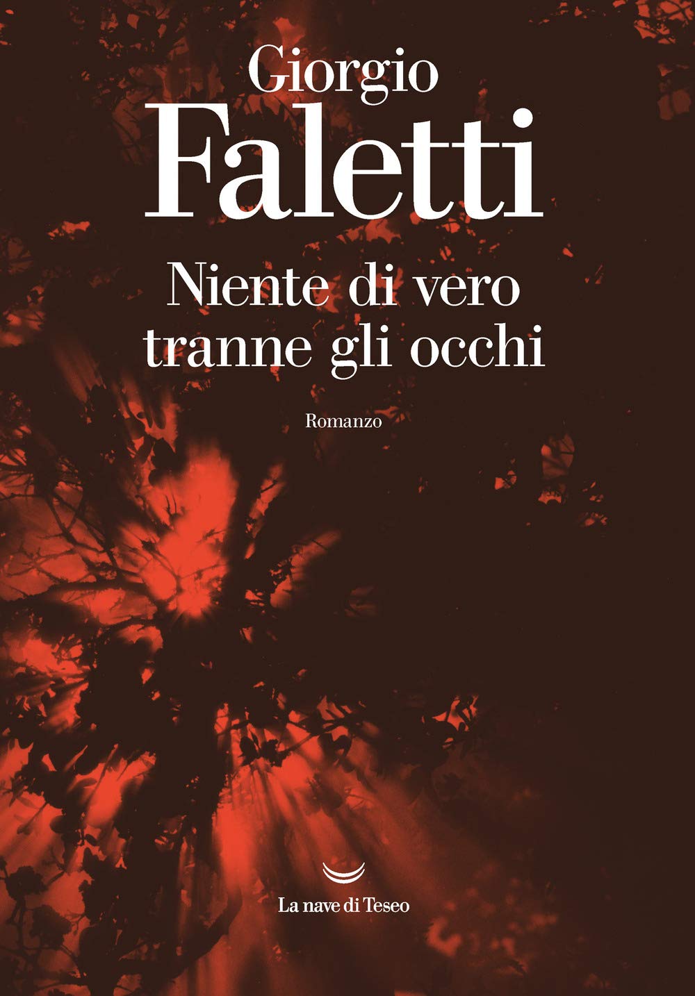 Niente di vero tranne gli occhi : Faletti, Giorgio: Amazon.it: Libri
