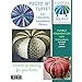 Amazon.com: Tuffet Source Tuffet Foundation Guide Pattern, Multi ...