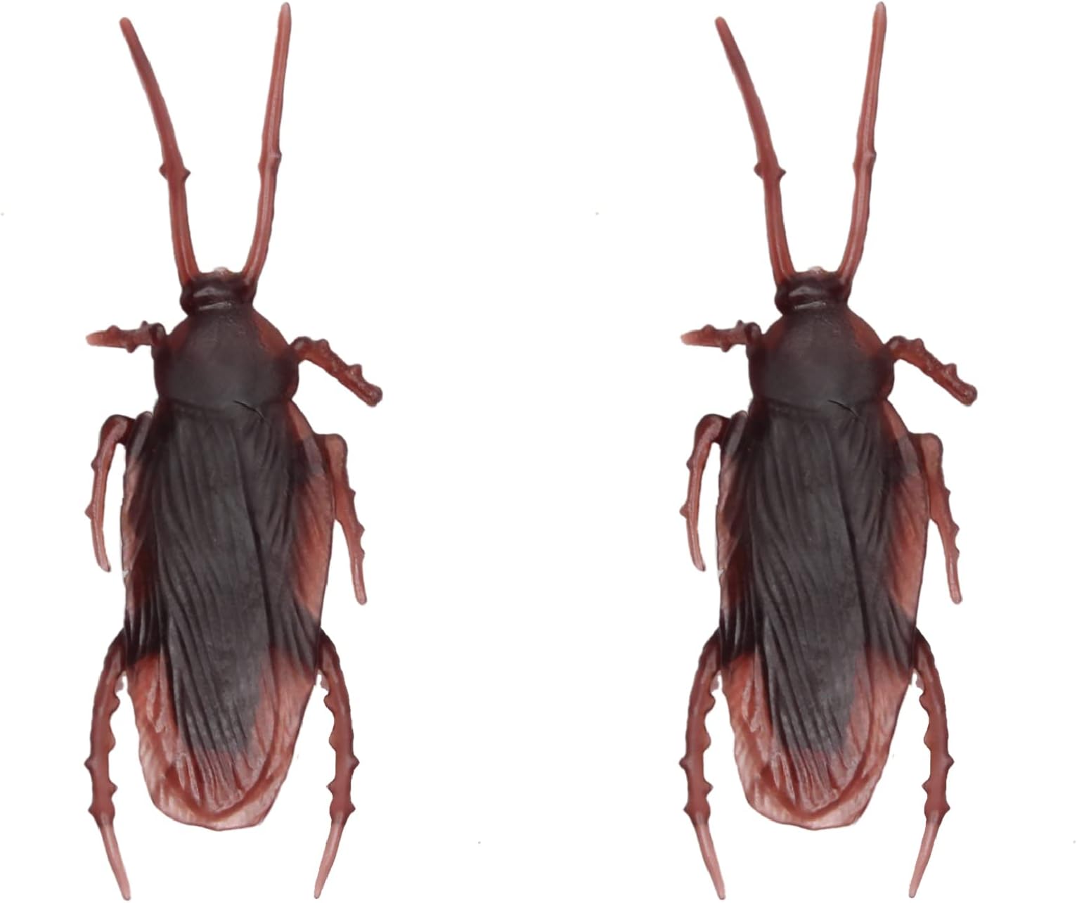 Buy SKA Kid Fake Cockroach Practical Jokes And Prank Trick Toys (Pack ...