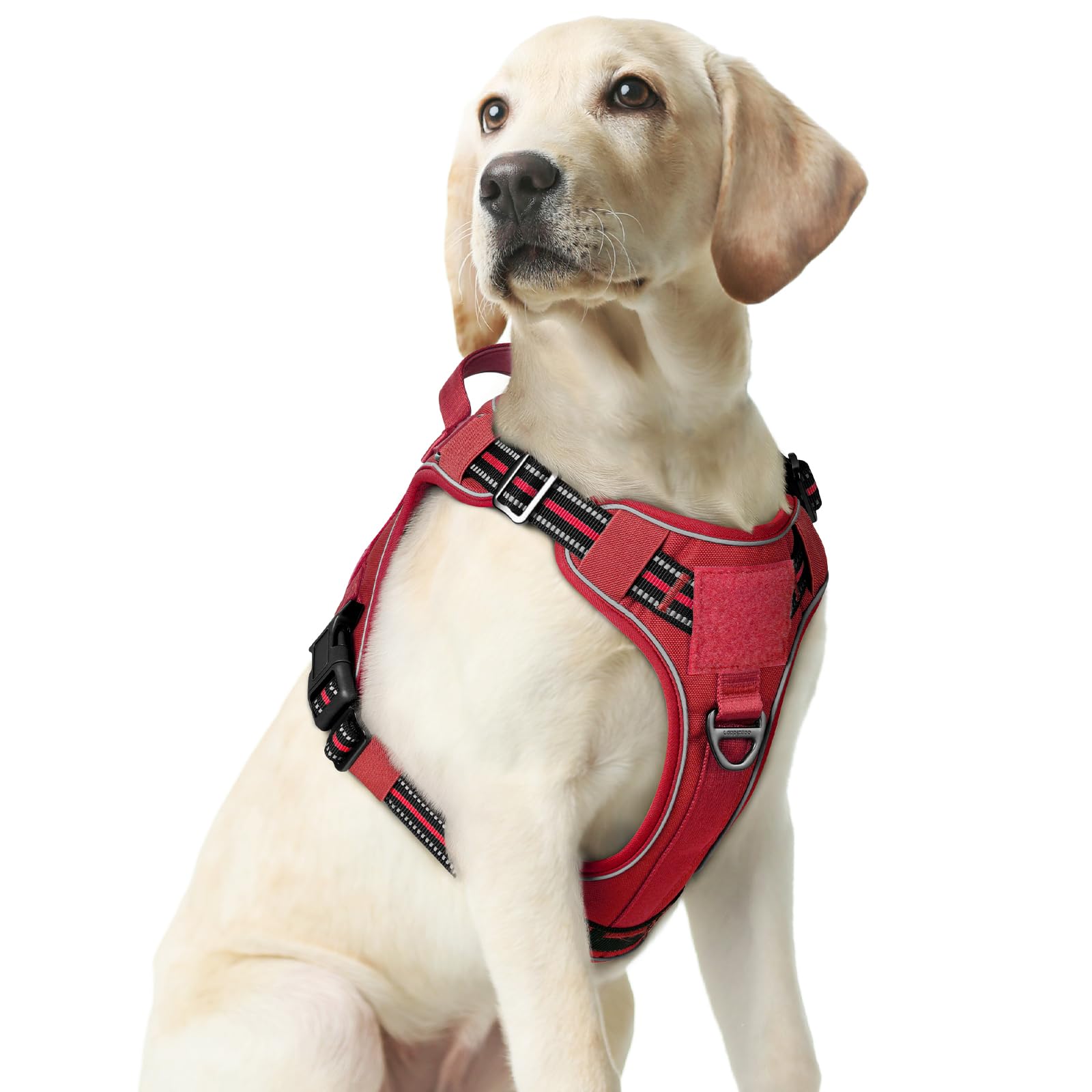 Amazon.com : rabbitgoo Dog Harness Medium Sized No Pull, Tactical ...