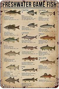 YOYI ART Vintage Fishing Wall Decor Sign - FreshWater Game Fish, Metal ...