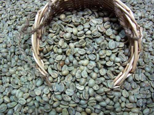 Amazon.com : Raw beans Mexico Altura (800g) : Everything Else