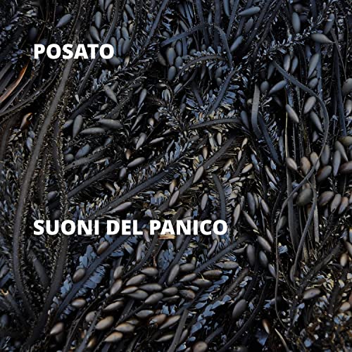 Amazon Music - PosatoのSuoni del Panico - Amazon.co.jp
