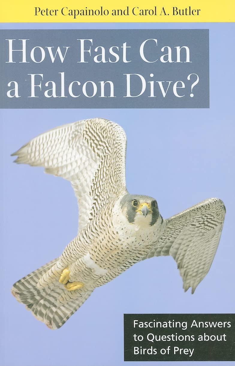 How Fast Can A Falcon Dive?: Fascinating Answers to Questions about ...