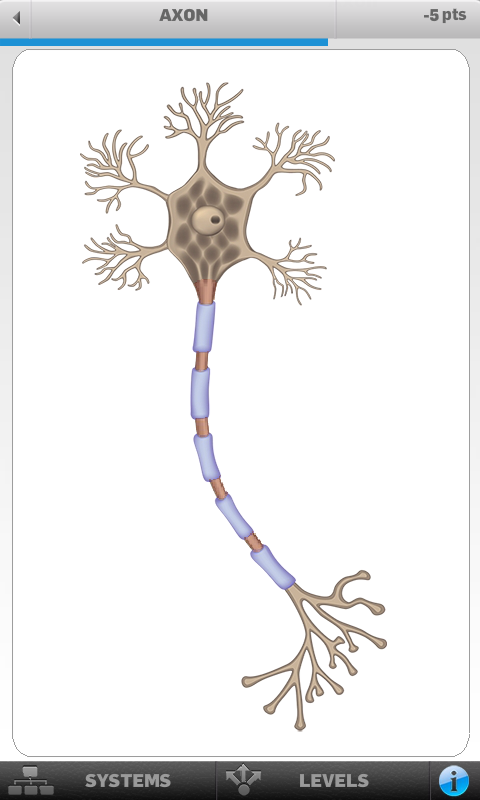 Nervous System Games For Anatomy ANS Monitor Technology | DyAnsys