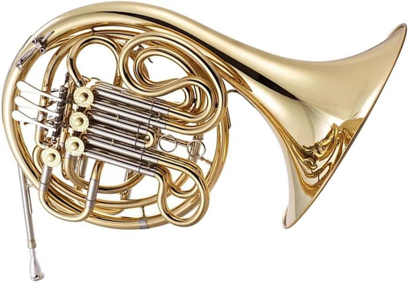 Amazon.com: TSTS Professional French Horn Professional Level Bb/F 4 ...