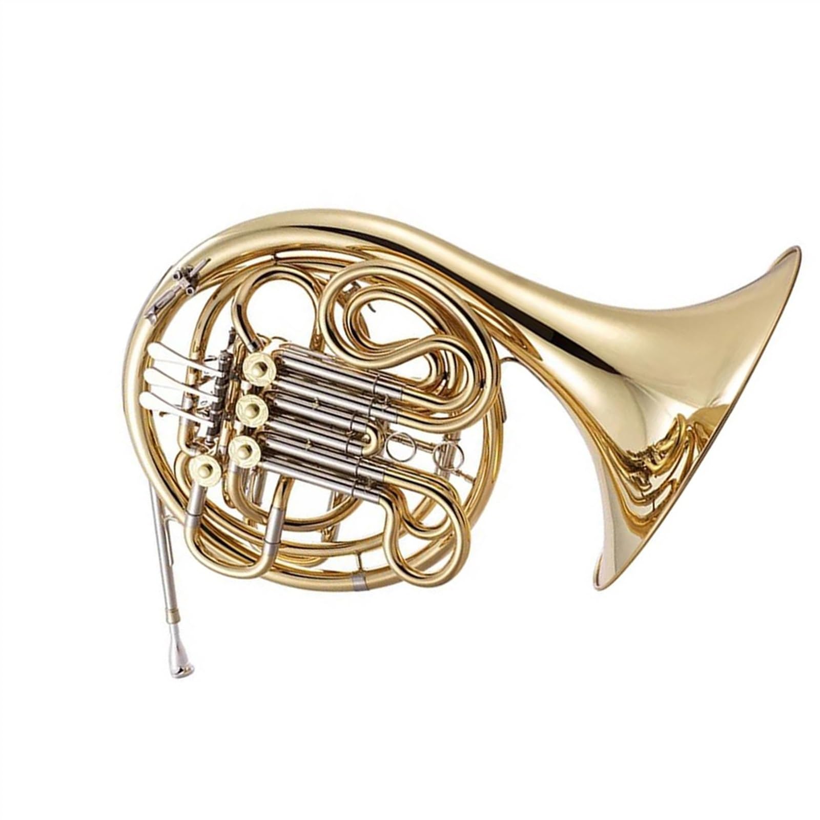 Amazon.com: TSTS Professional French Horn Professional Level Bb/F 4 ...