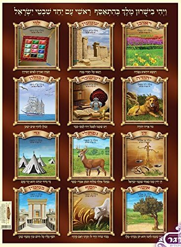 Amazon 12 Tribes Laminated Sukkah Poster Prints Posters Prints