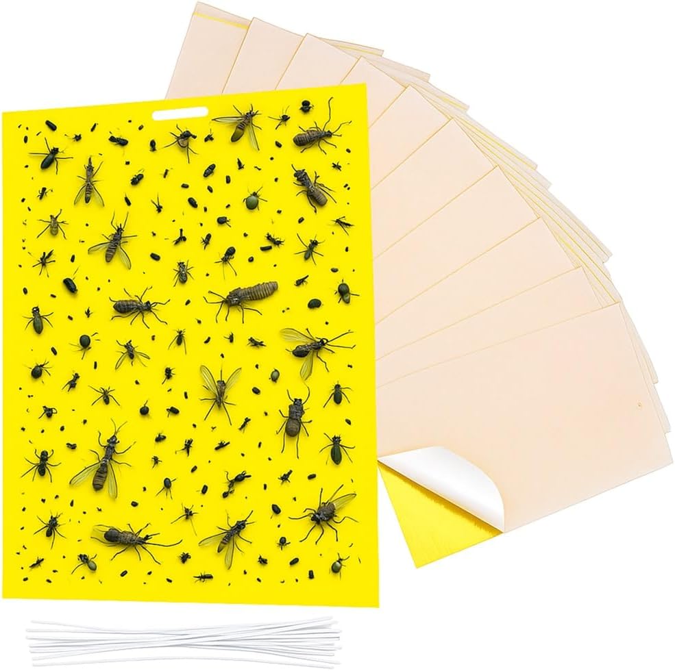 Goodbye Flying Insect Trap 1 Pc: Buy Online at Best Price in UAE ...