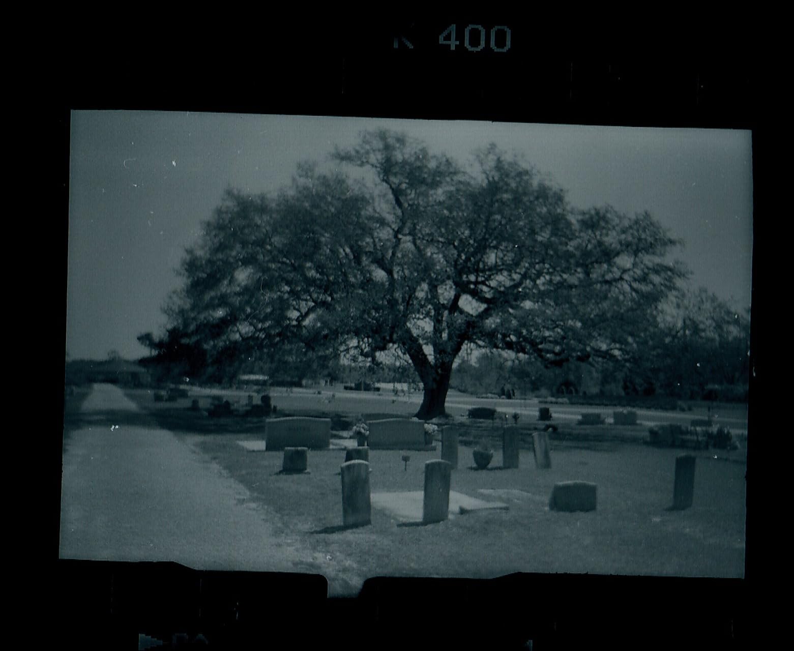 Amazon.com : Kentmere 400 ASA Black and White Negative Film (35mm Roll ...