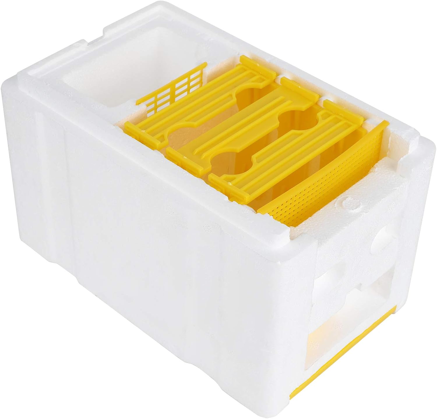 Queen Bee Mating Box Foam Breeding Rearing Philippines | Ubuy